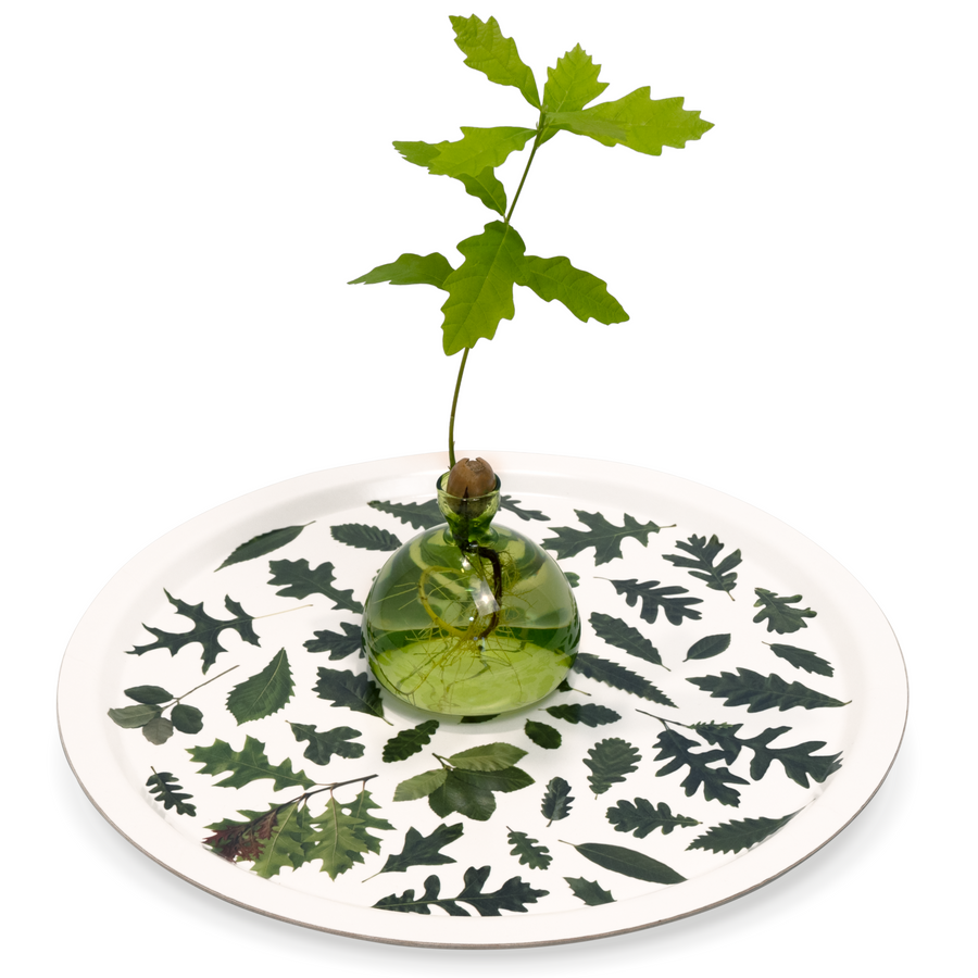 Oak Leaf Tray – Ilex Studio