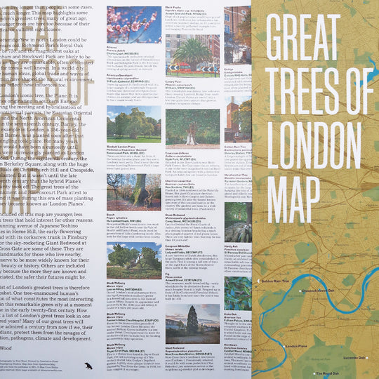 Great Trees of London Map – Ilex Studio